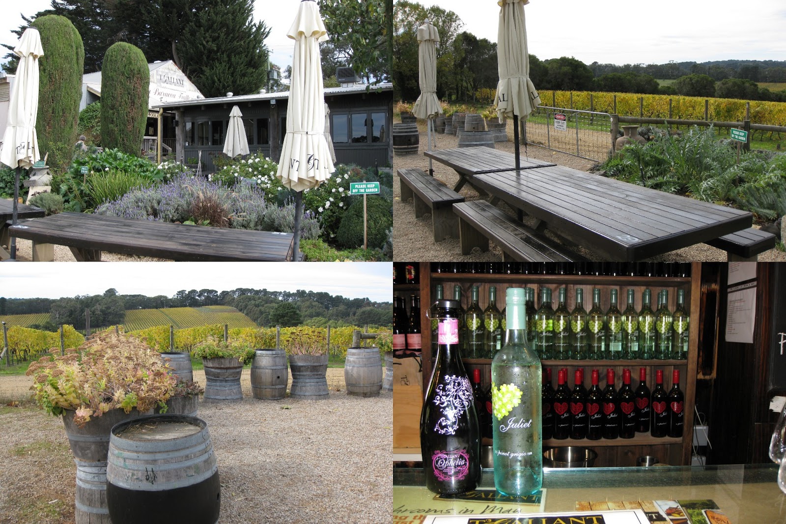 Mornington Peninsula Day Trip