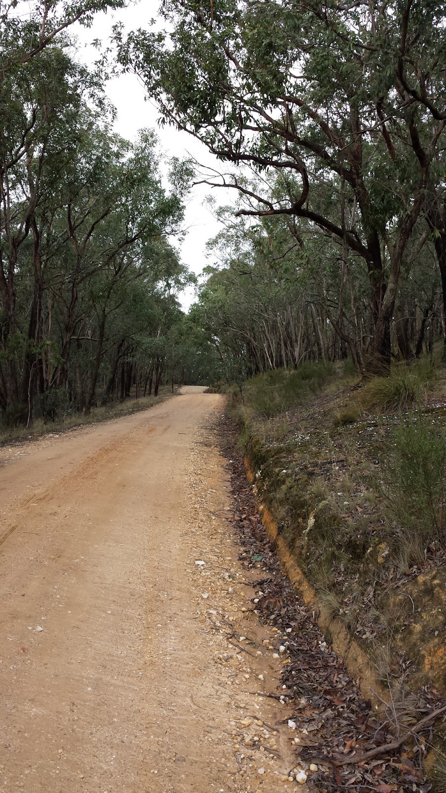 Day Out with Dog (Victoria Australia): Enfield State Park (my rating D)