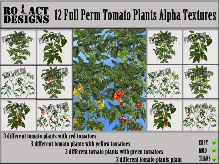 Ro!Act Designs: ..::RO!ACT::..DESIGNS 12 Full Perm Tomato Plants Alpha ...