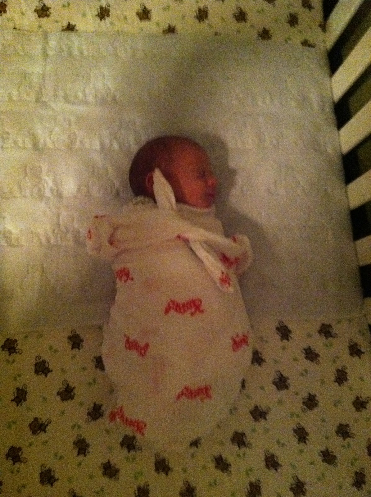 The Mongolian Monkey: From Monkey Burrito to Monkey, um Enchilada?