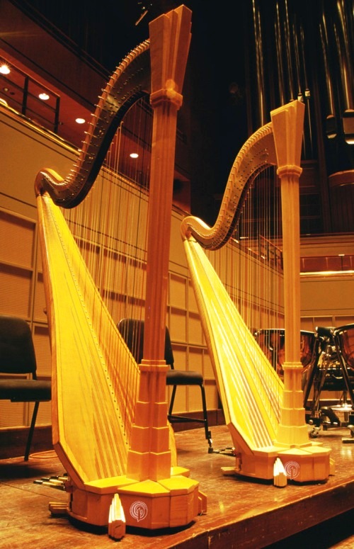 Pausas: Harpa Paraguaia um instrumento transculturado