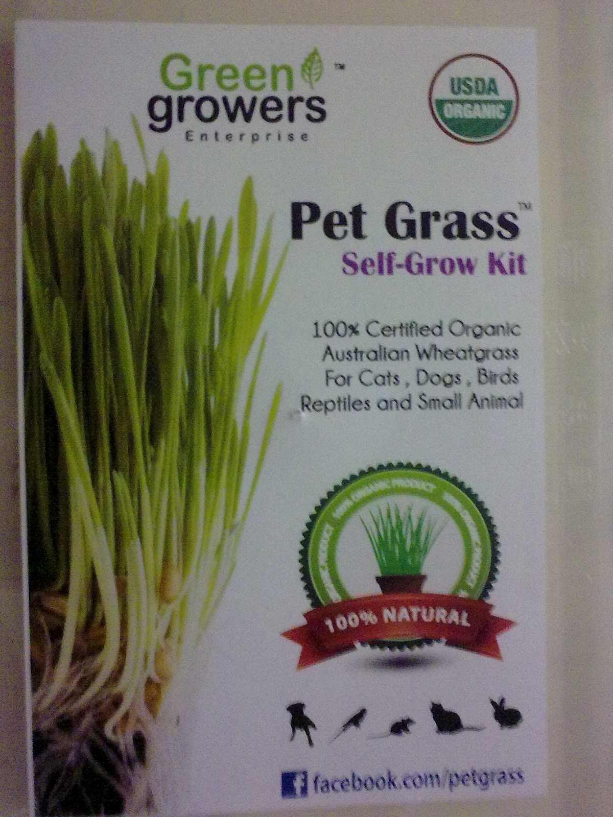 Magical Furville Shop: PET GRASS (SELF-GROW KIT)