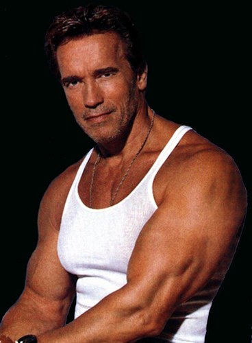 famous personalities: Alois Schwarzenegger