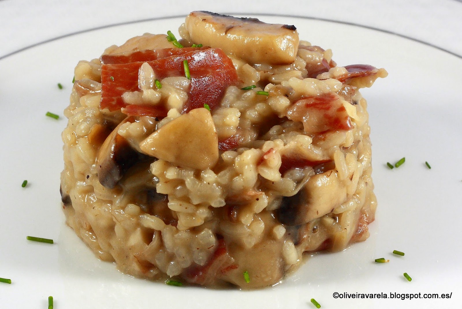 Risotto de setas y jamón ibérico