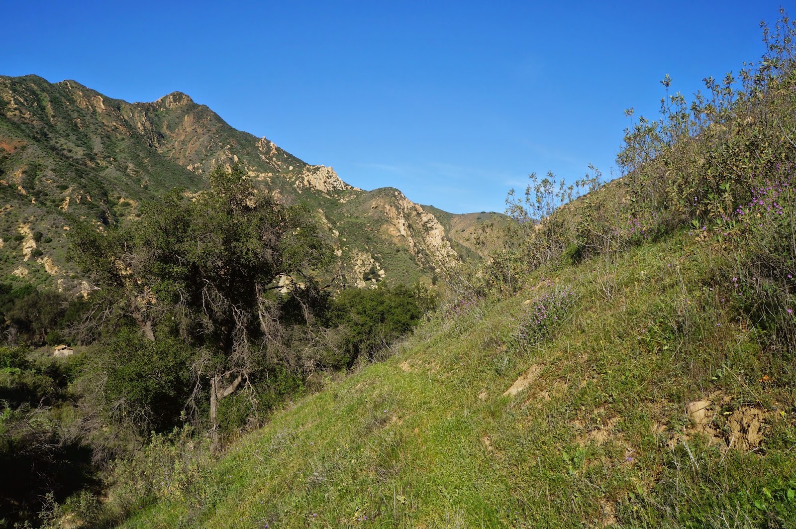 David Stillman: Exploring Lower Piru Creek
