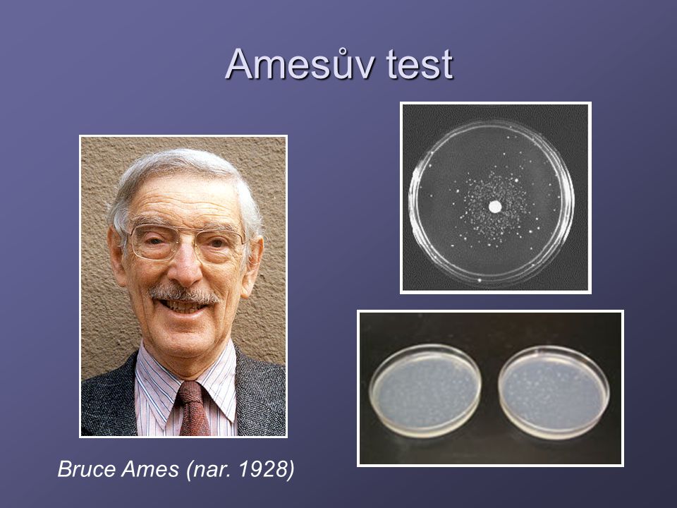 EXAMS AND ME : Bruce Ames