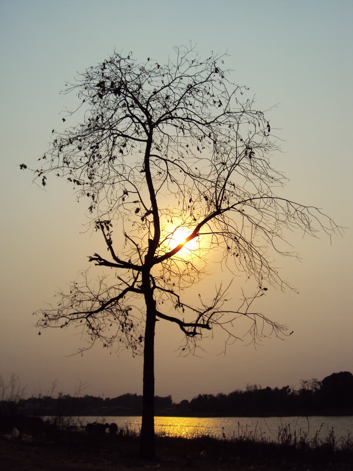 MY PERSPECTIVE: An Evening in Khadavli