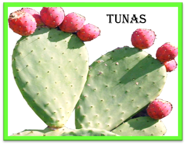 REGIÓN SELVA ALTA O RUPA RUPA DEL PERÙ | SELVA ALTA O RUPA RUPA