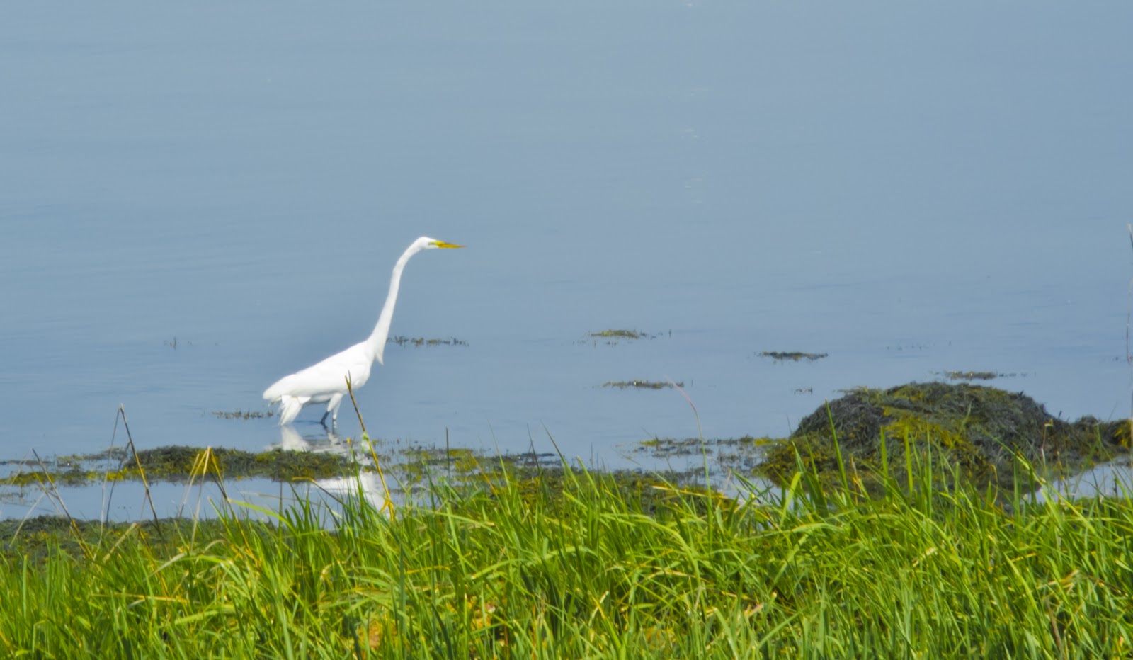 Connecticut Explorer: Silver Sands State Park and Charles Island