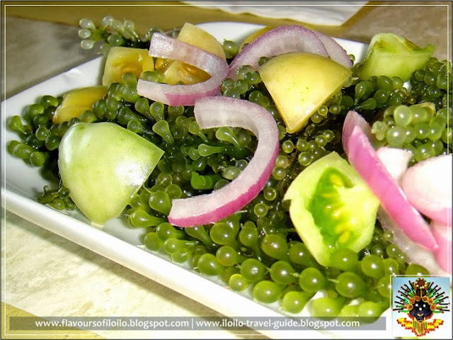 Lato or Sea Grapes Ensalada