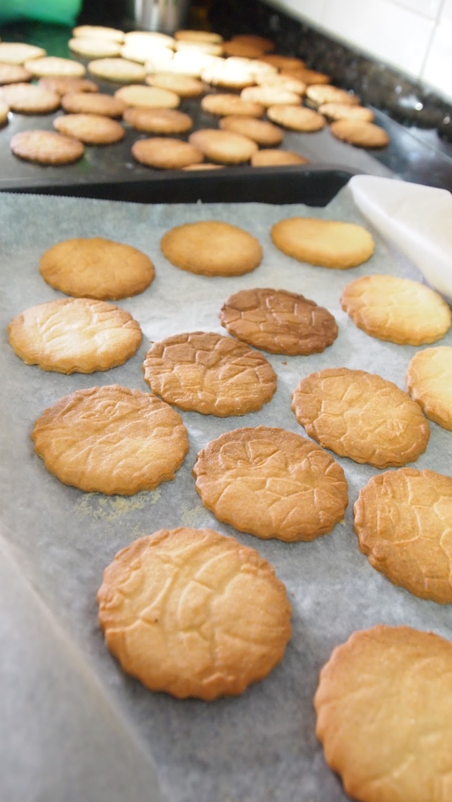 Galletas de vainilla con relieve ~ Andreíta come de todo