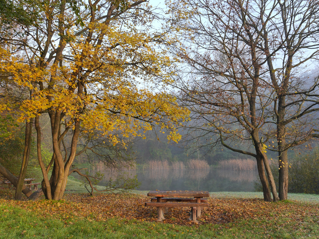 Fotózás, túrázás, élmények, blog...: Utolsó őszi képek