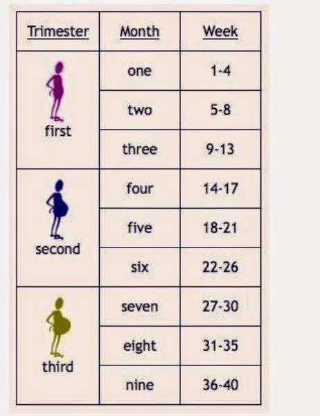 Jangan Pernah Berhenti..: Kehamilan 26 Minggu Masuk 6 Bulan Al ...