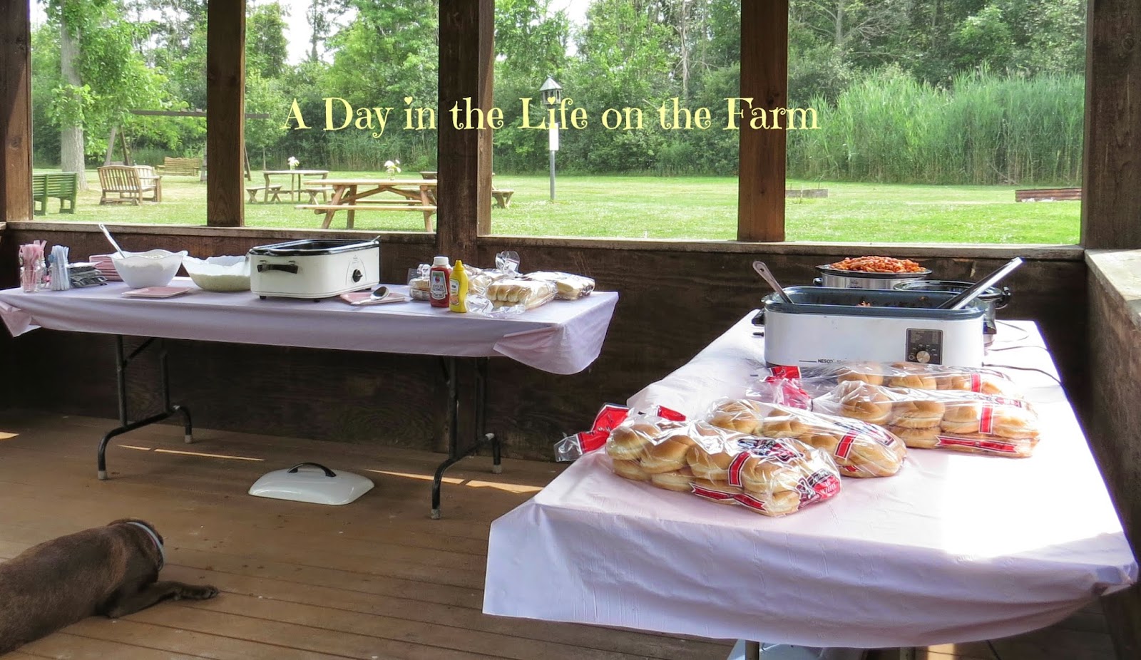 A Day in the Life on the Farm: Success!!