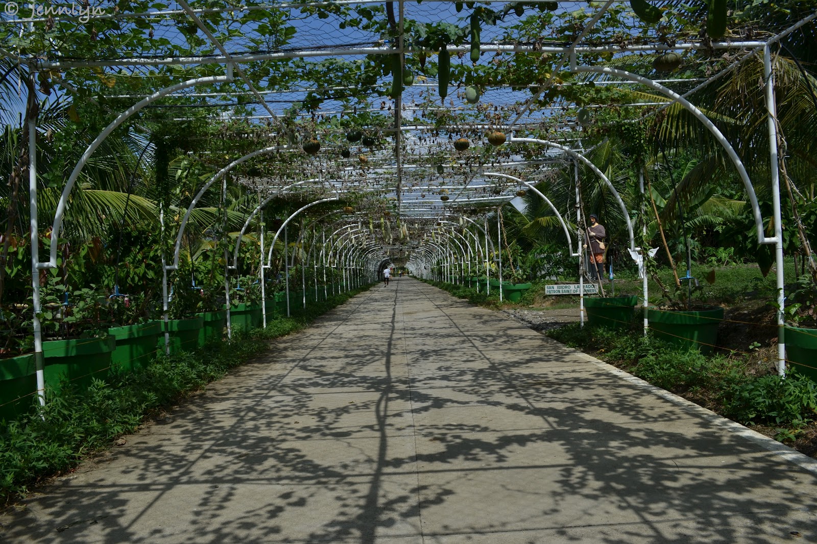 Destination Philippines: The Farm: Garin Farm, San Joaquin, Iloilo