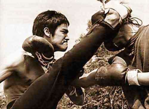 Jeet Kune Do ~ BruceLeeBook