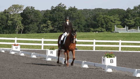 Loch Moy II Recap: The What Was She Smoking Edition