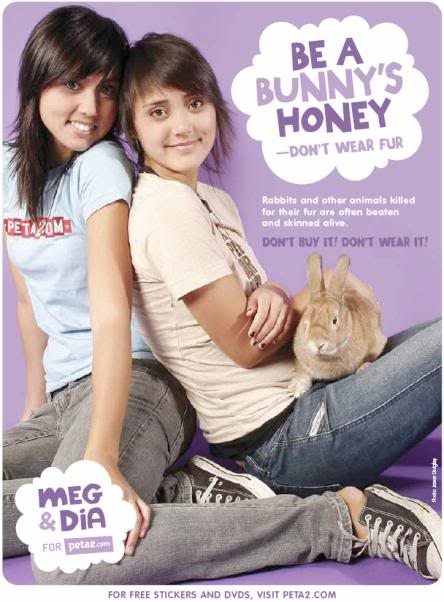 One Active Stand: Meg and Dia