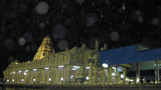 Vignesh Karthick: Sri Venkateswara temple, Vanatirupathi, Punnai Nagar.