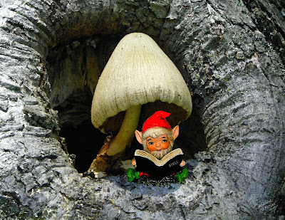 Paintings-of-Artists-Original-Unusual- Art: Gnome Elf Under Toadstool