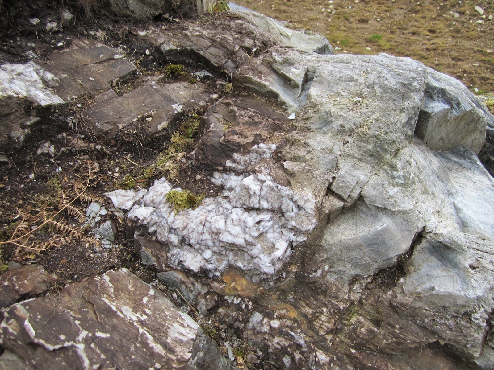 Stonehenge and the Ice Age: Quartz veins in the Rhosyfelin rhyolites