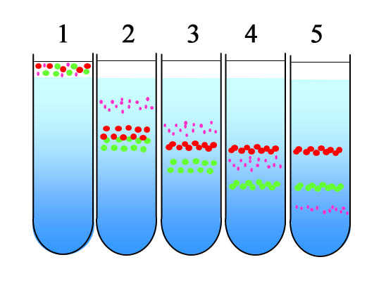 My Scientific Blog - Research and Articles: The Basic Separation Technique