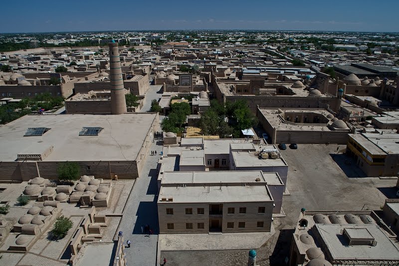 VOICE OF GLOBAL UMMAH