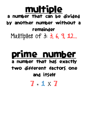 Loose Shoelaces: Vocabulary and More Vocabulary!