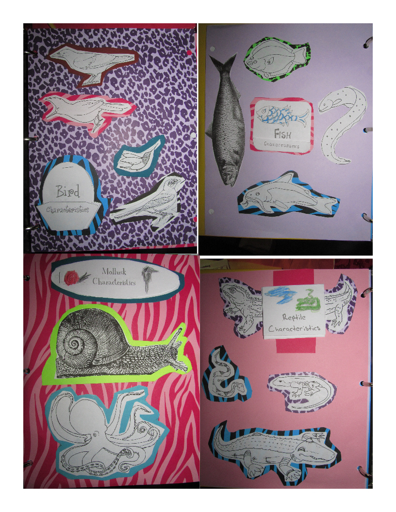 Loving Life Lapbooks