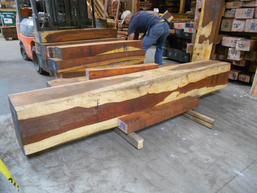 Tropical Exotic Hardwoods: HUGE Cocobolo log, about as rare as they get!!!