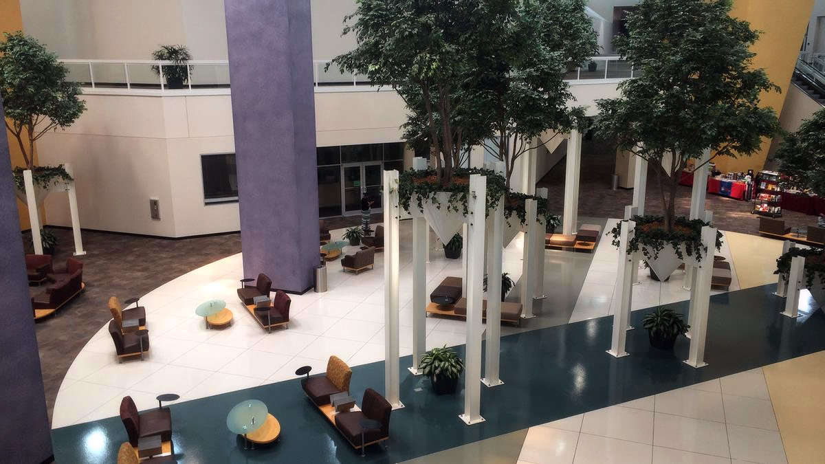 David Gumm: Centene Corp / Health Net Federal Services