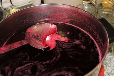 Chokecherry Jelly Recipe - A Ranch Mom