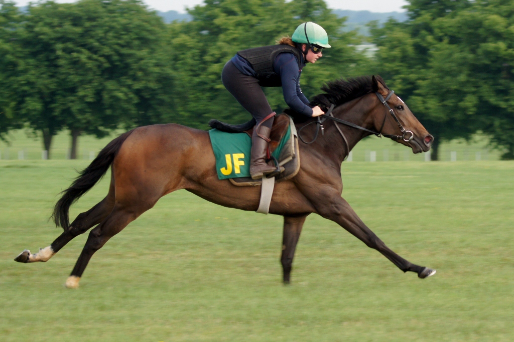 Julia Feilden Racing