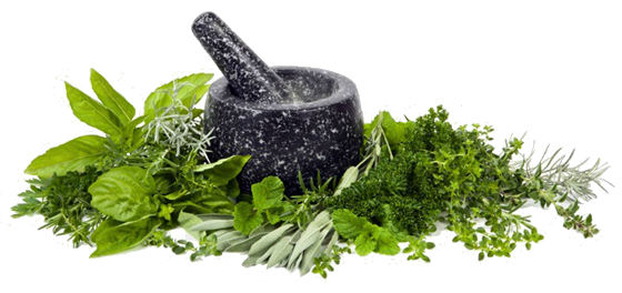 Tanaman Herbal Ini Ampuh Untuk Mengurangi Mata Minus Dan Mata Plus ...