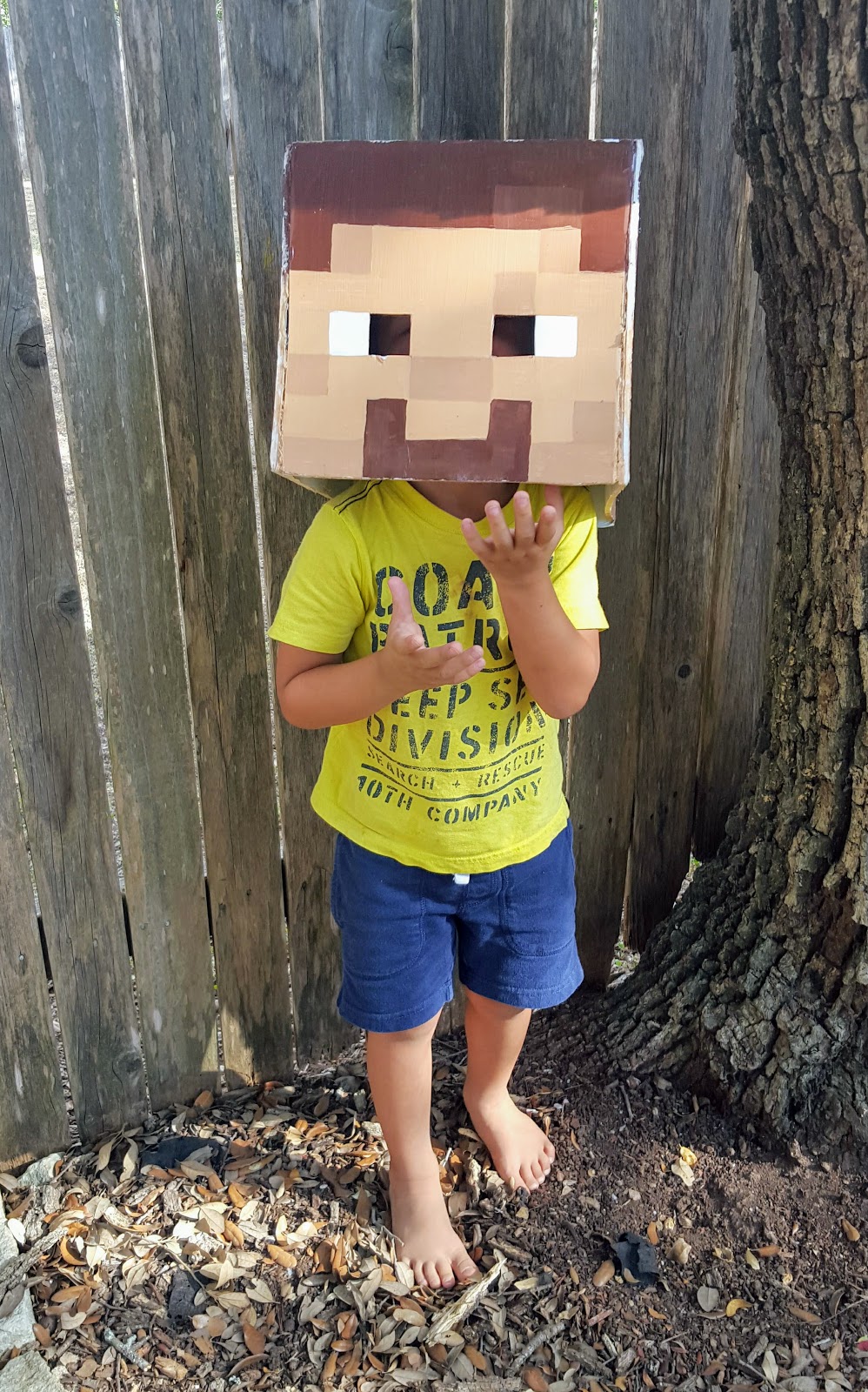 DIY Minecraft Steve Head