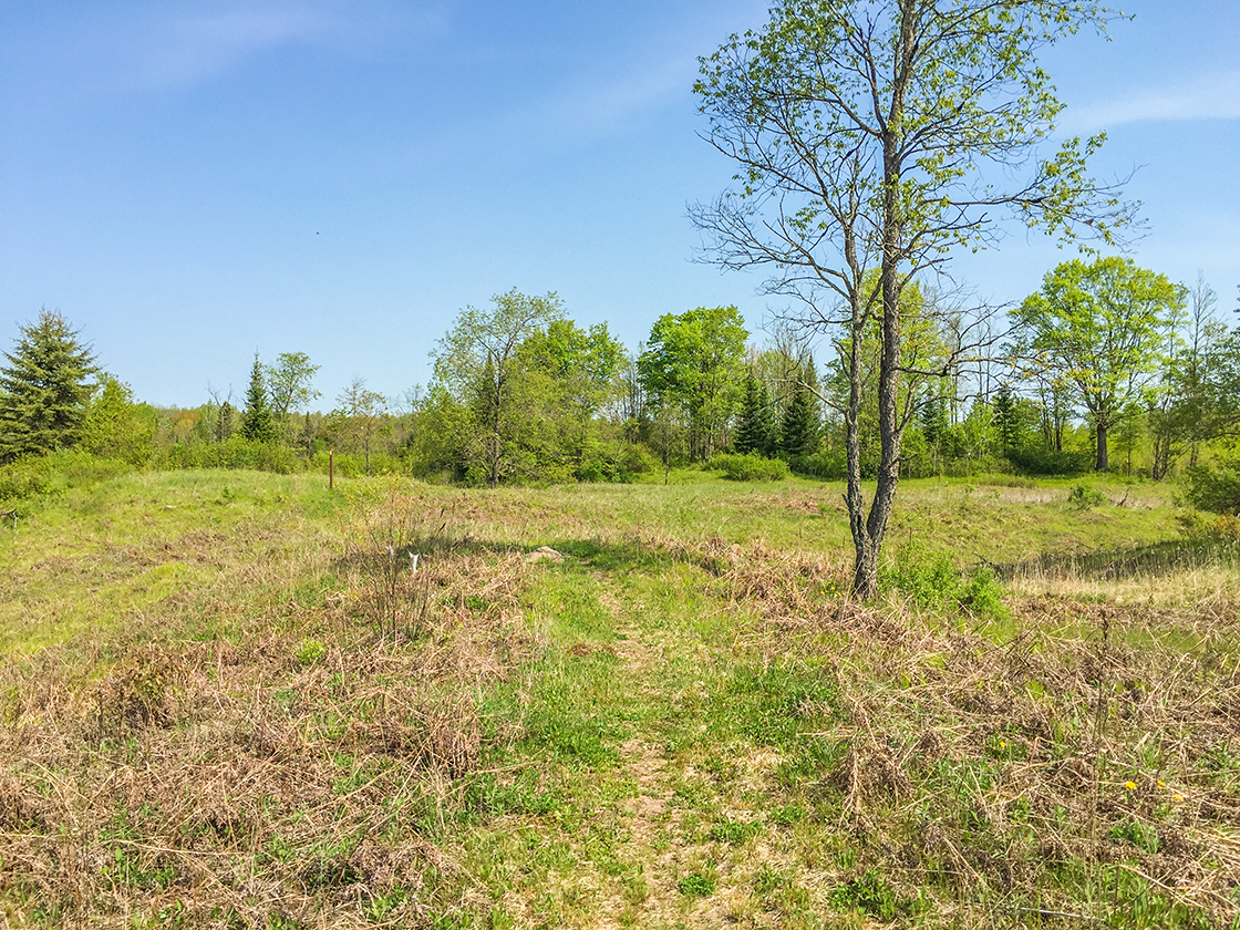 Wisconsin Explorer: Hiking the Ice Age Trail Plover River Segment