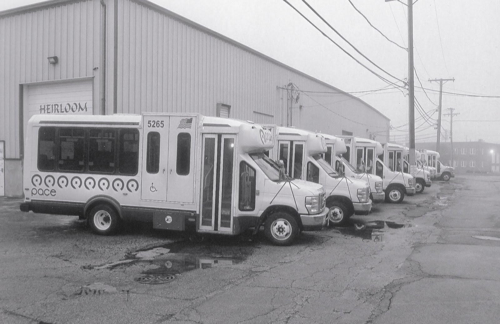 Eddie's Rail Fan Page: First Transit Ford paratransit mini buses on a ...