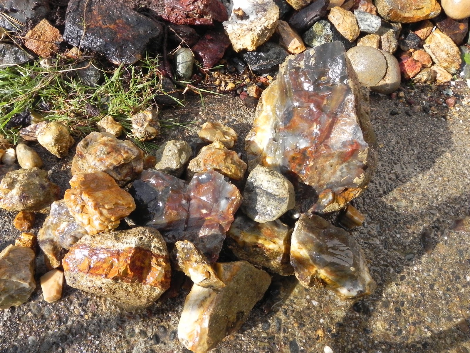 Northwest and Southwest Rockhounding: Greenwater Agates