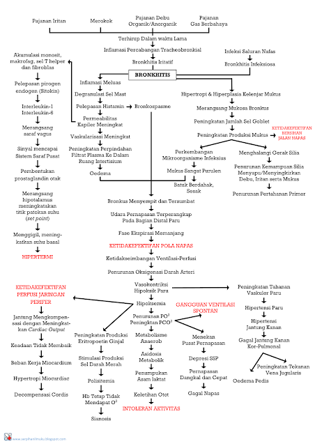 Pathway Bronkhitis
