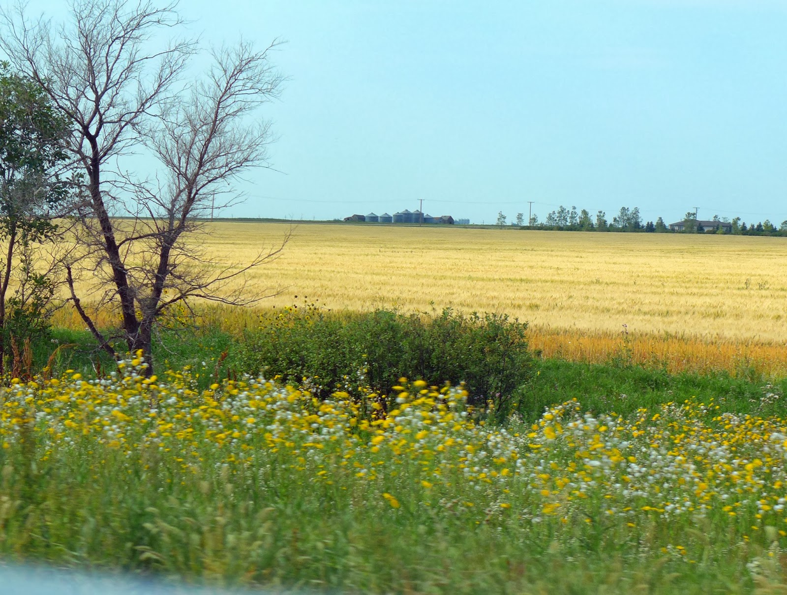 A Patchwork Canada: Prairie Elements