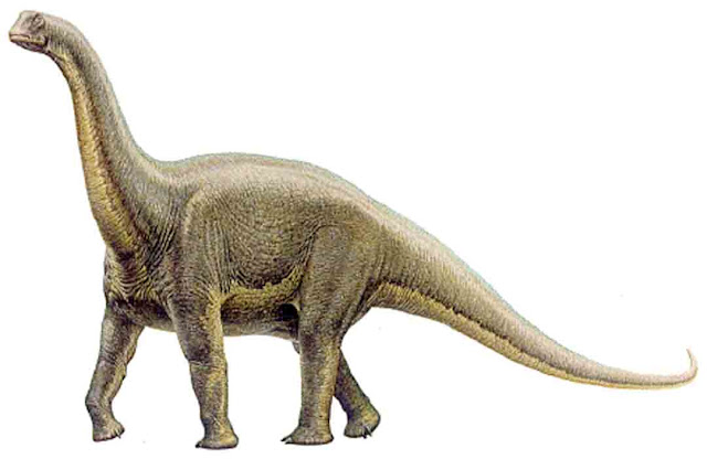 Dinosaur info: Alamosaurus
