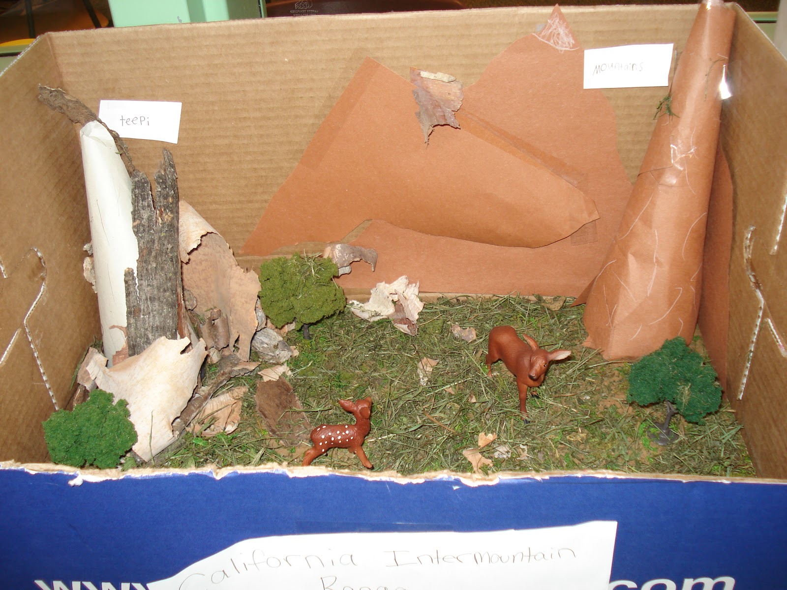 Mrs. Farnsworth's ELP Classroom Blog: Diorama Pictures!