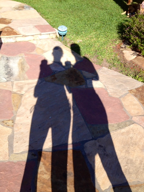 A Moment and Advice - Amy's Balancing Act