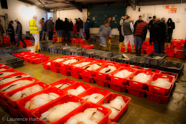 Through the Gaps! - Newlyn Fishing News: Plenty of high quality fish on ...