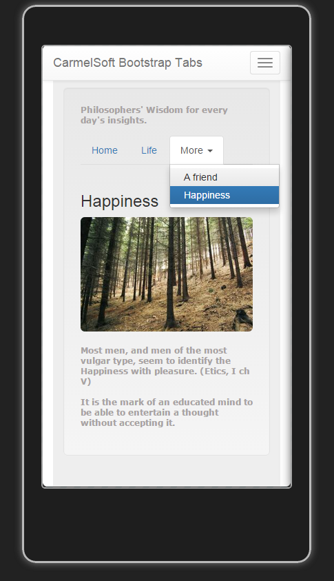 The ASP.NET MVC Club: Bootstrap Tutorial Lesson 14 - Responsive Tabs ...