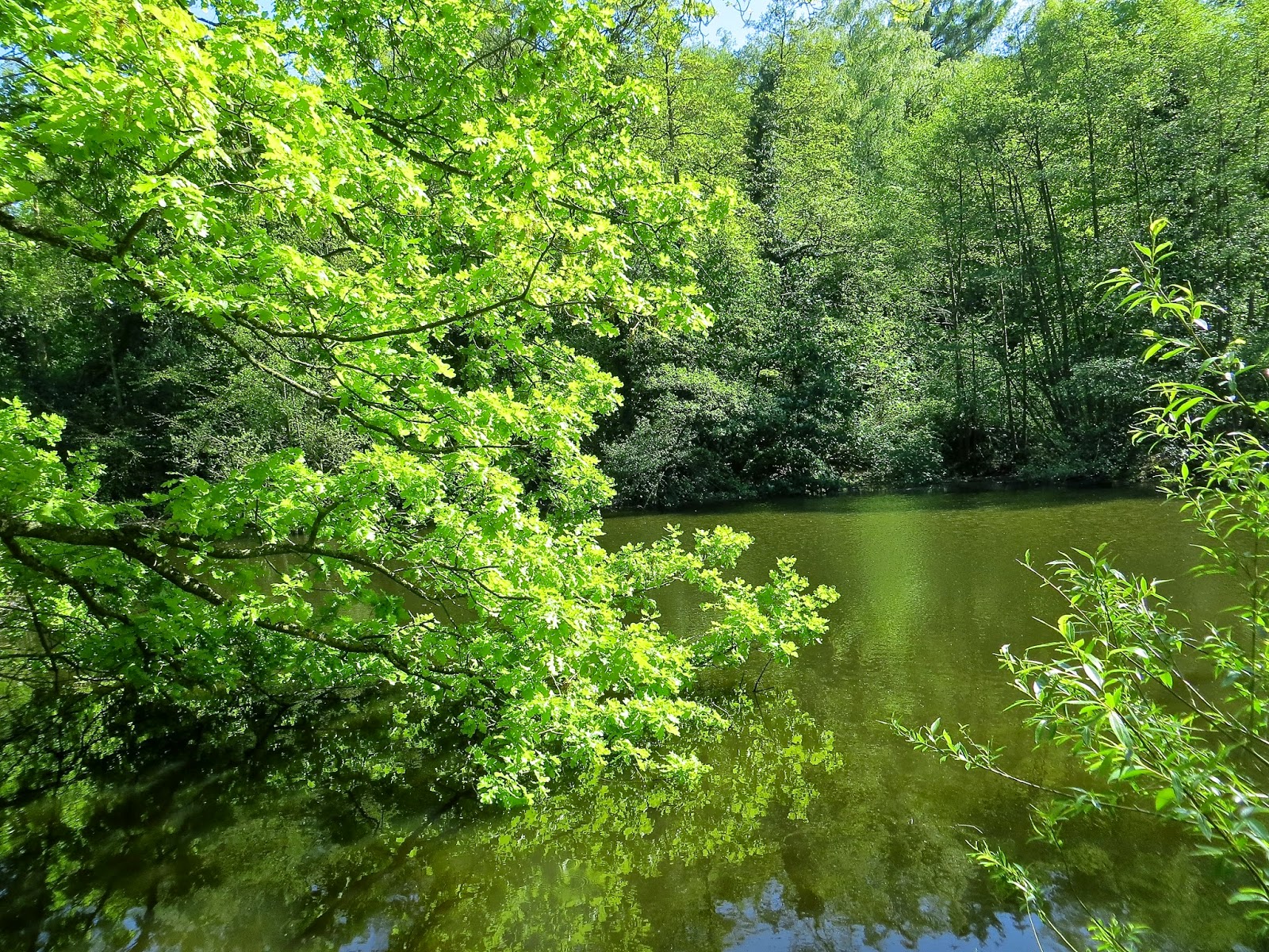 Curiouser and Curiouser: C.S. Lewis' Oxford Home -- The Kilns