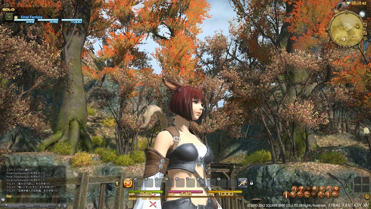 Final Fantasy XIV (PS3)