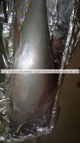 Senegal Seafoods , Fish Products: Fresh,Chilled YF Tuna