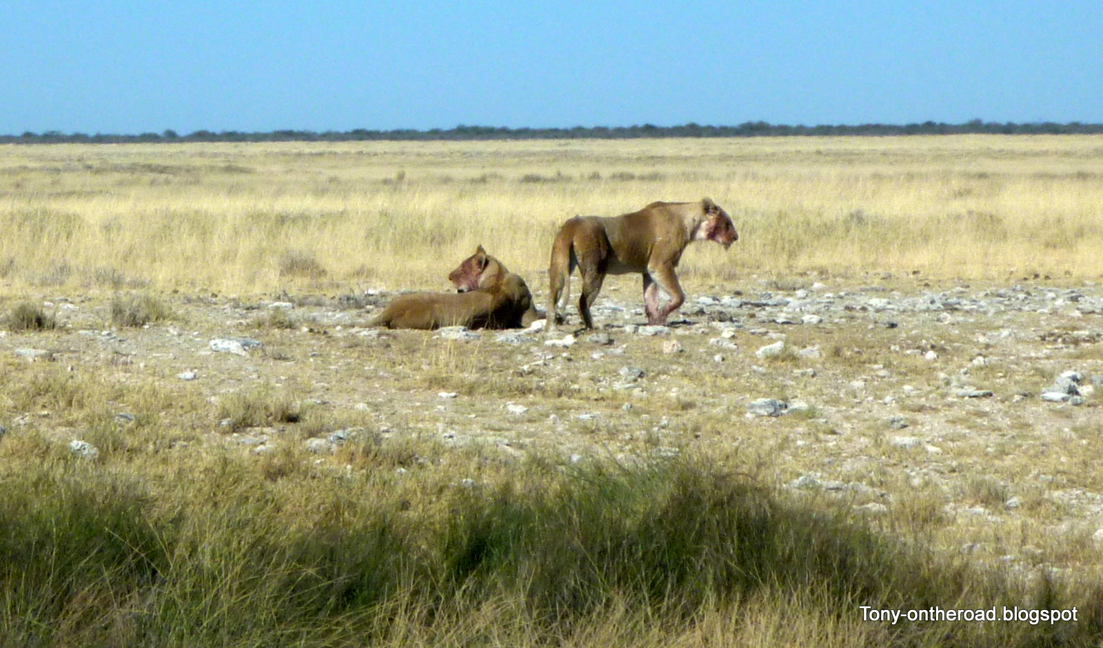 Africa: Winter in Namibia