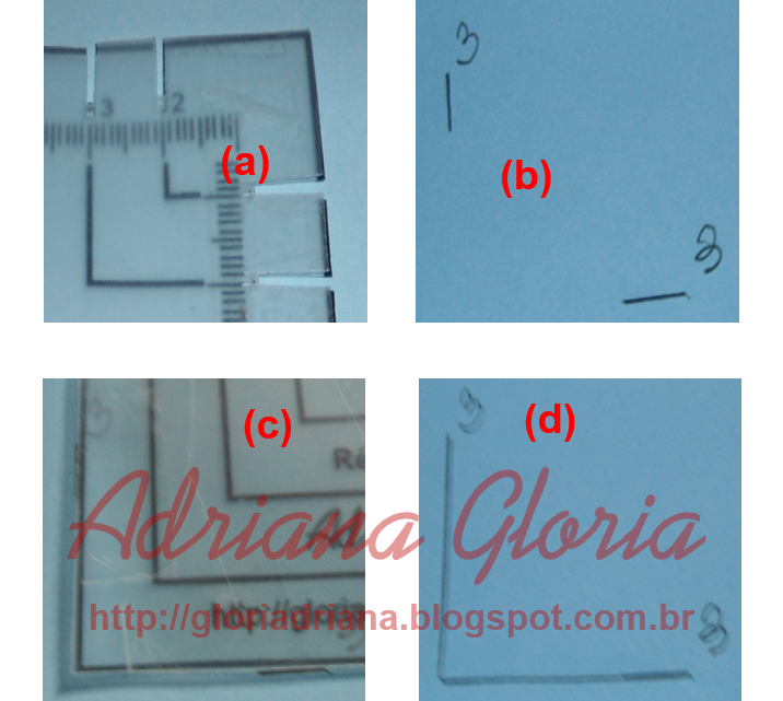 Réguas para imprimir.